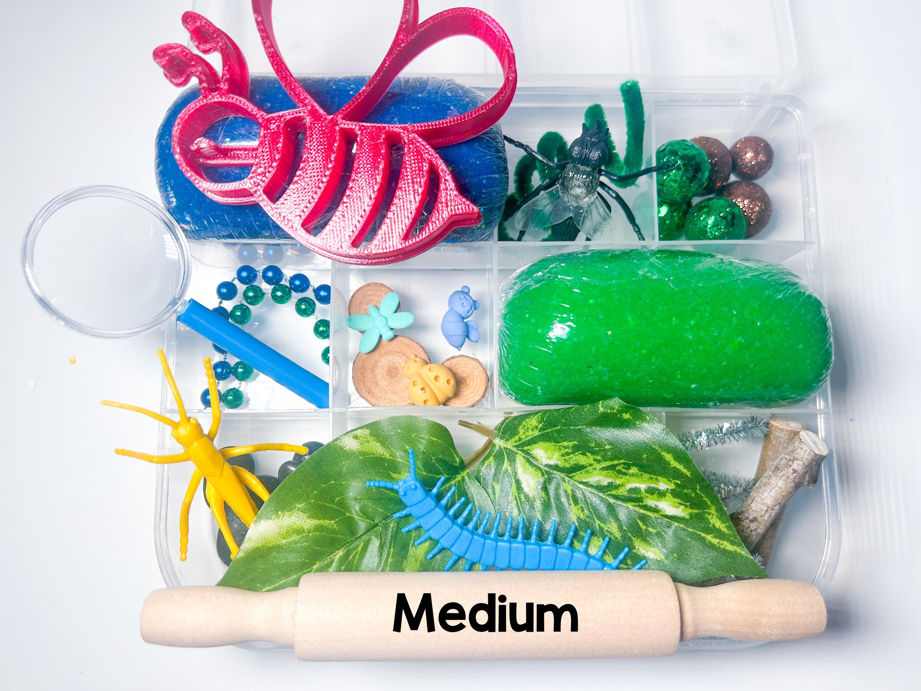 Bug Play Dough Kit, Bug Play Dough, Bug Sensory Kit, Bug Sensory ...