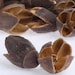 Bakuli, Bakuli Pods, Natural Pods, Dry Bakuli Pods, Decorative Bakuli ...