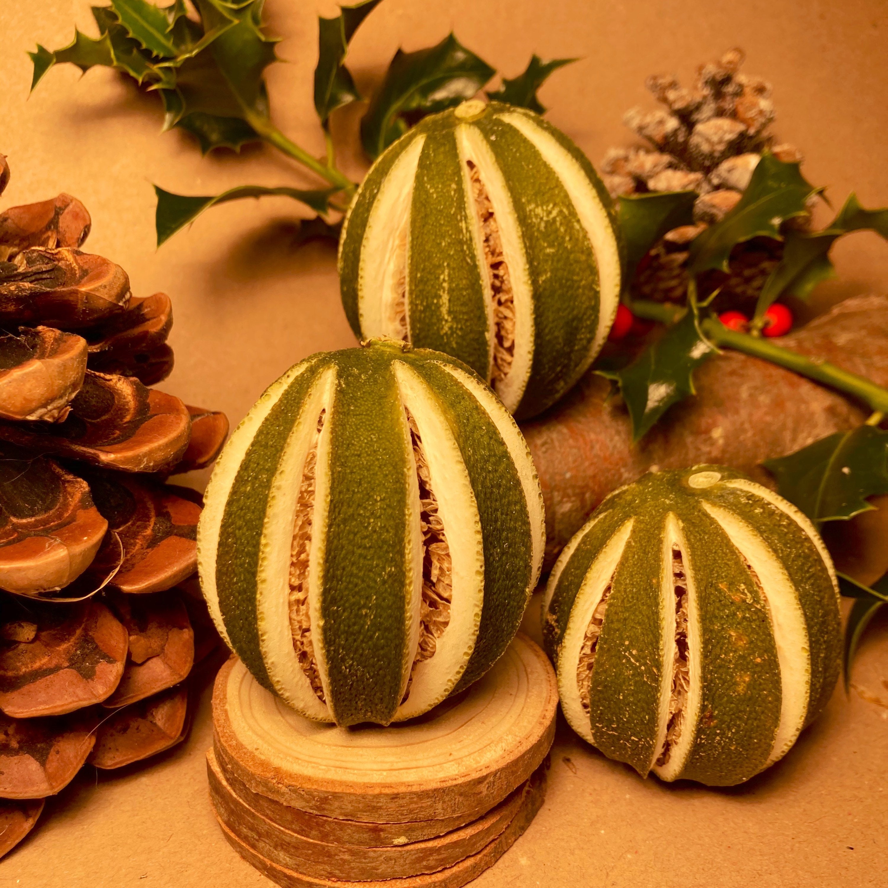 Dried Fruits for Craft, Christmas Wreath Making, Dried Oranges, Dried ...