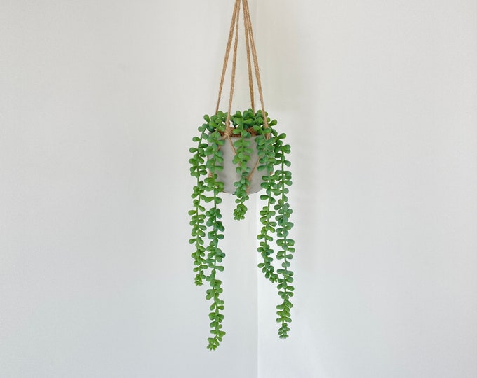 Artificial Trailing String of Pearls House Plant-faux Trailing Plant ...