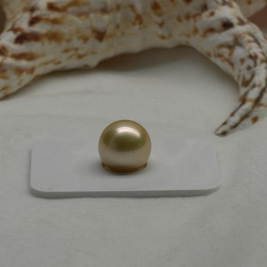 Large Round/near Round Golden South Sea Pearl 14mm (R57501) - Etsy