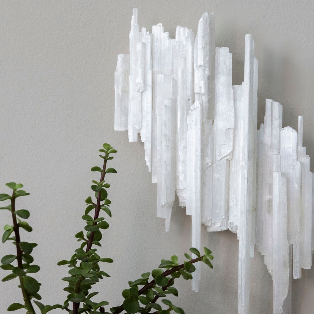 terrafirmashoppe - Etsy