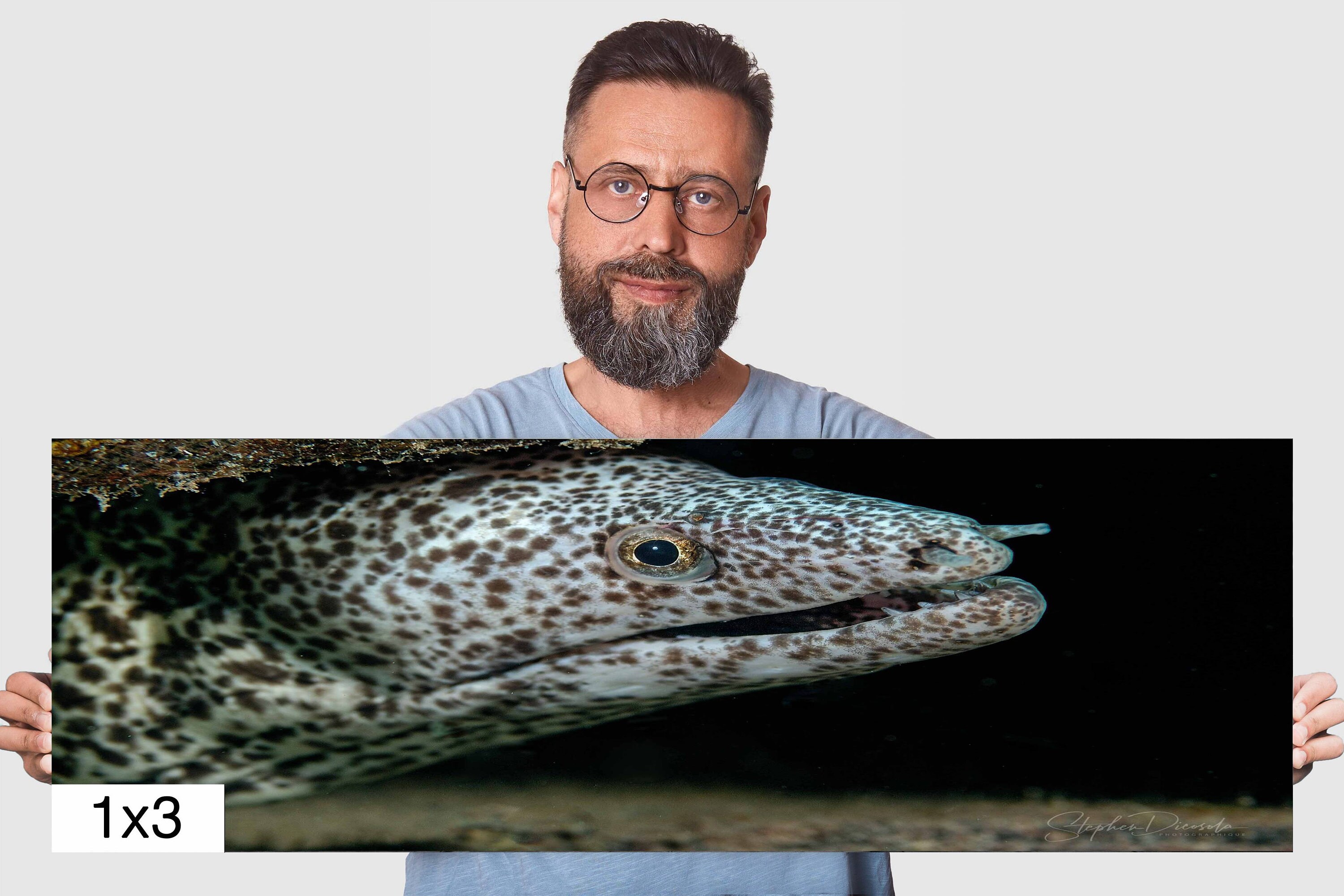 Friendly Spotted Moray Eel Can Be Yours and Will Look Great on Your ...