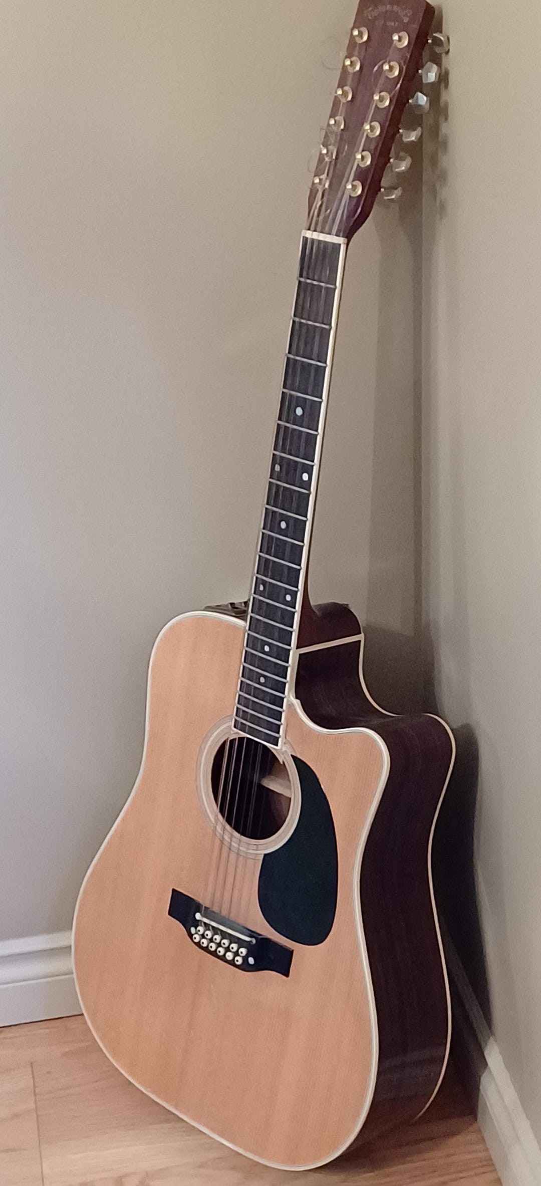 Vintage 1982 Takamine 12 String Accoustic/electric Guitar/collectable ...