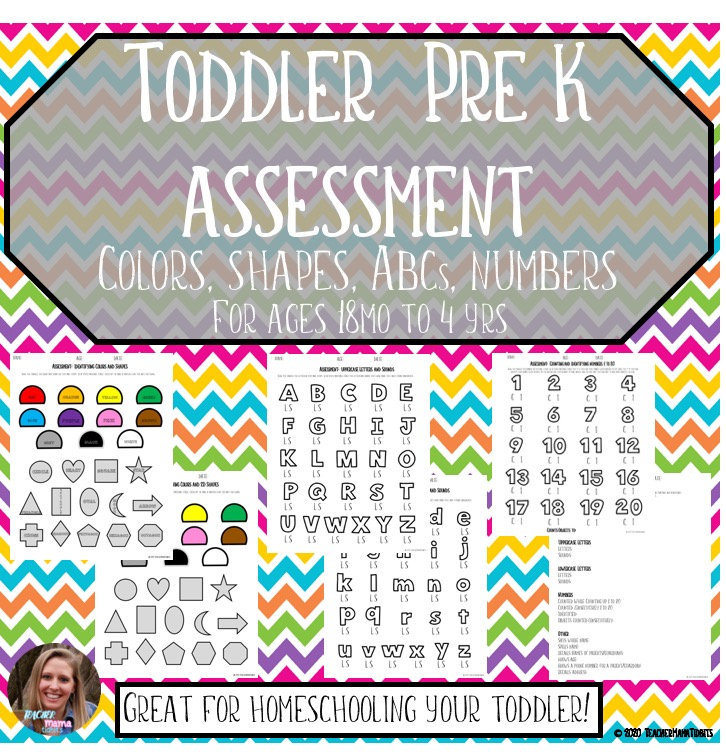 Assessment Toddler or Preschool - Etsy