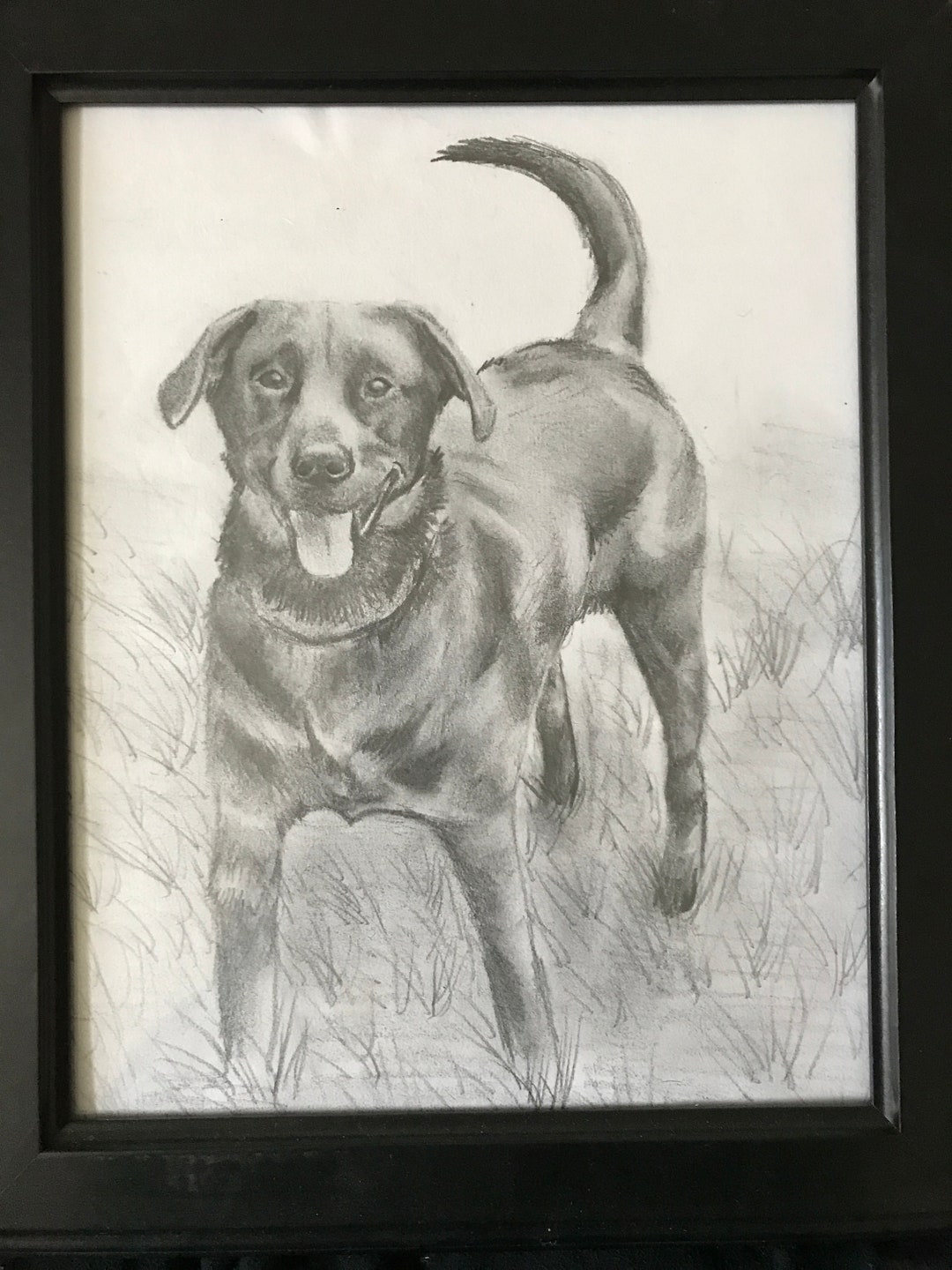 Pet Portrait Hand Drawing | Pet Memorial Print | Dog and Cat Pencil ...