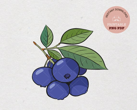 Blueberry Print / Printable Card Format Pdf / Png Image File | Etsy