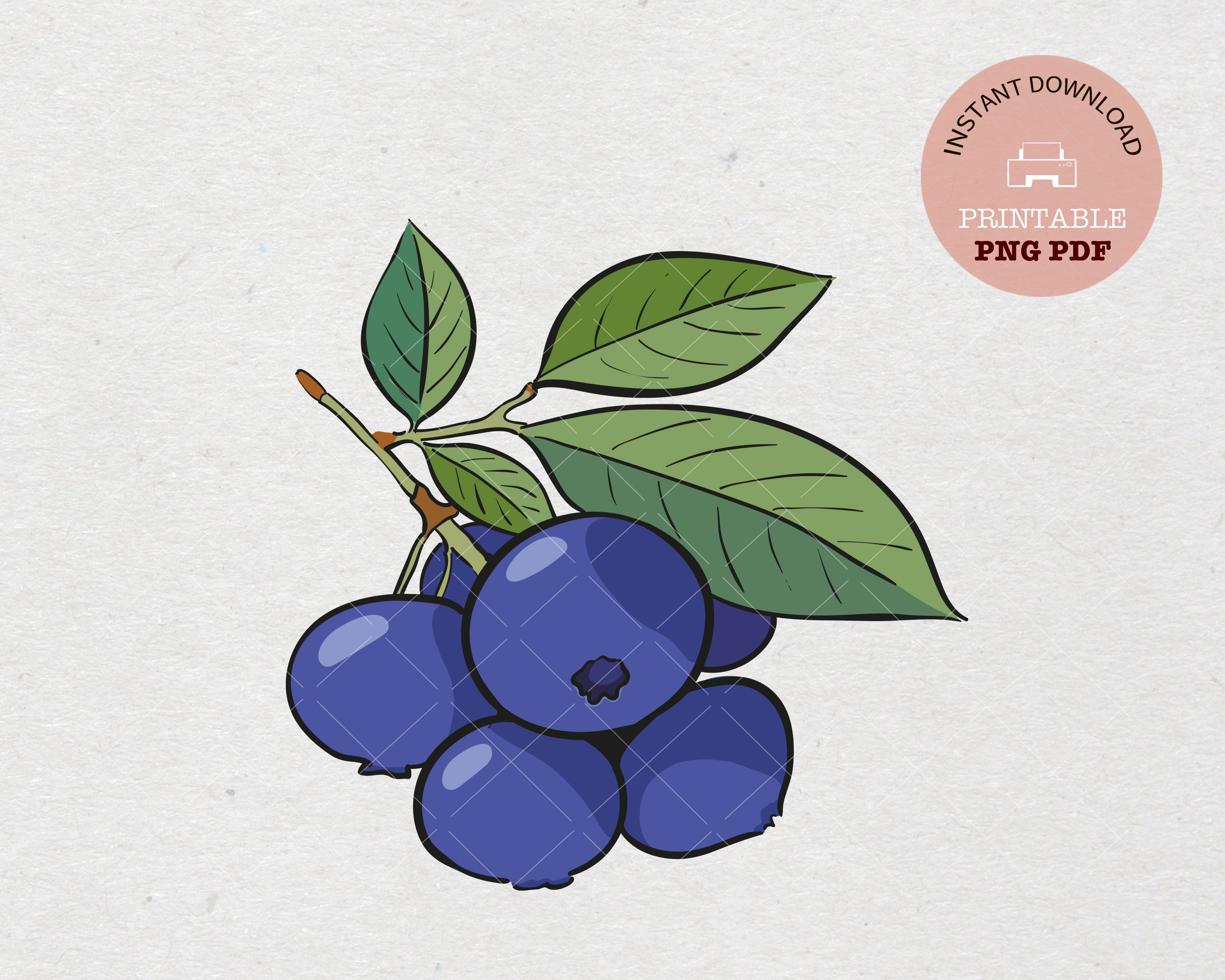 Blueberry Print / Printable Card Format Pdf / Png Image File - Etsy UK
