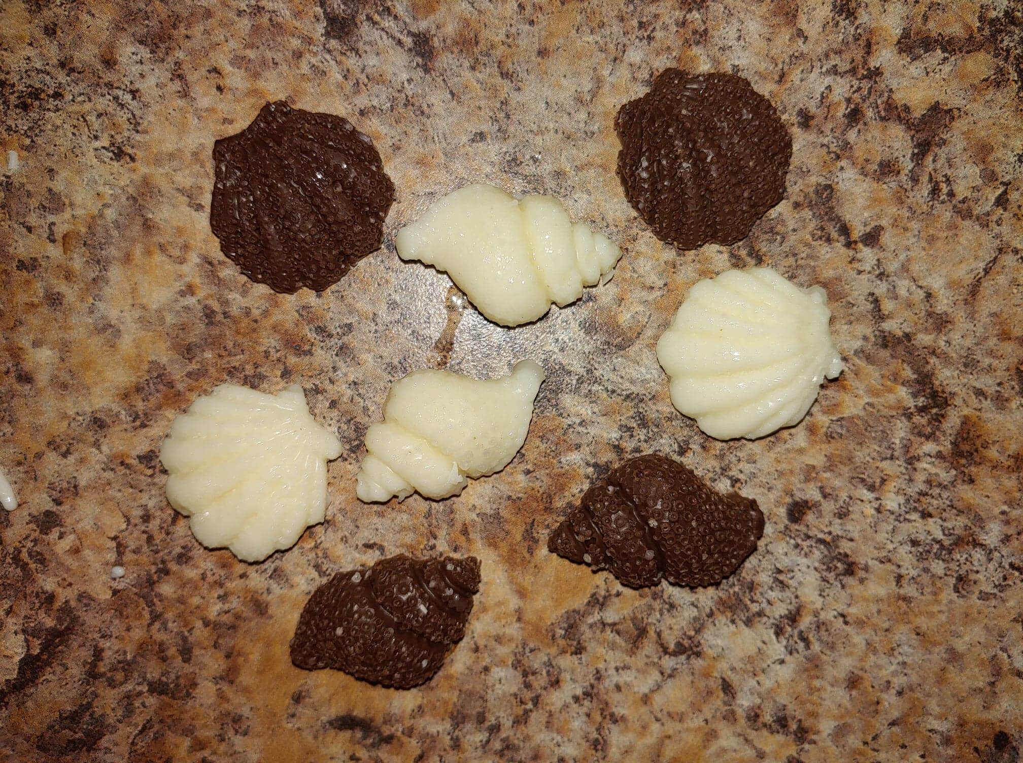 Chocolates con forma de conchas marinas costeras - Etsy España