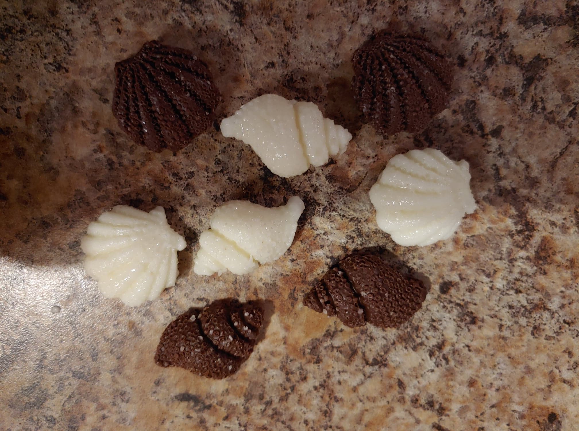 Chocolates con forma de conchas marinas costeras - Etsy España