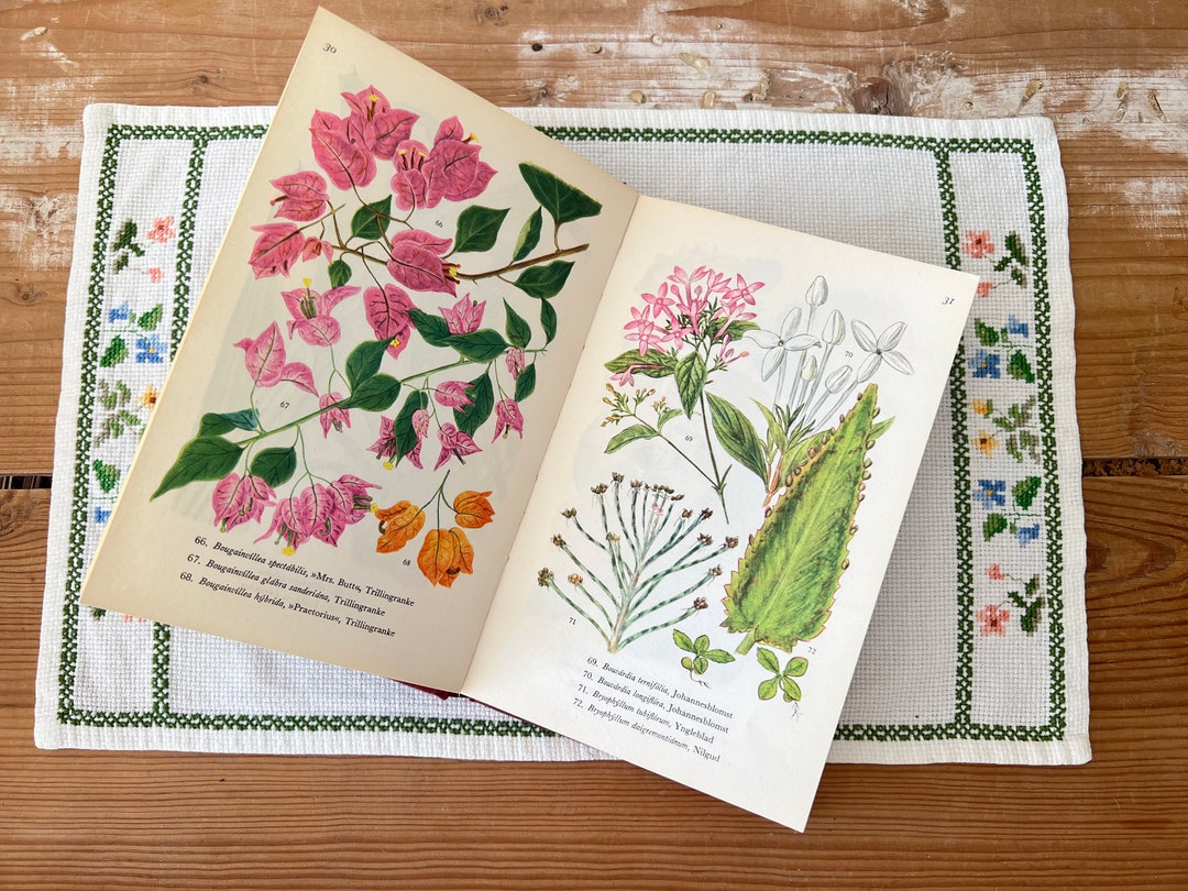 Vintage Indoor Plant Guide Book | Colour Illustrations | Politikkens ...