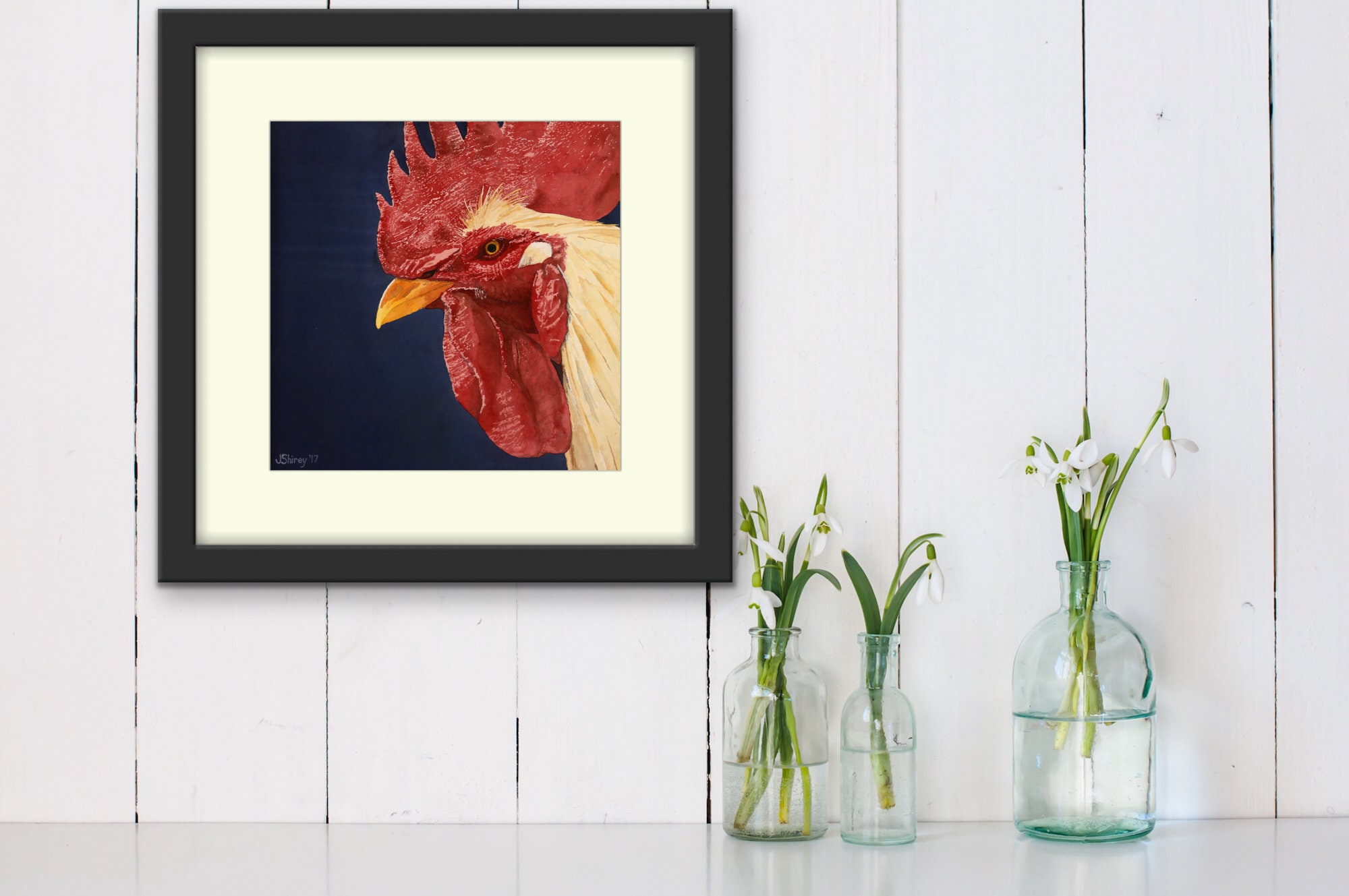 Coxcomb: Original Watercolor Reproduction, Limited Edition, Rooster ...