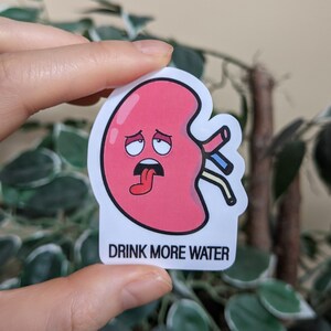 Cute Kidney Sticker/ Drink More Water/ Medical Sticker/ 1.8 X 2.2 ...