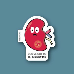 Cute Kidney Sticker/ You've Got to Be Kidney Me/ Kidney Stone/ Medical ...