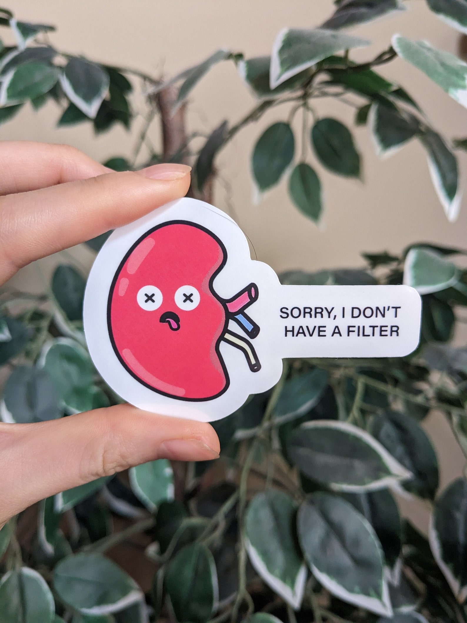 Cute Kidney Sticker/ Sorry I Don't Have a Filter / Medical - Etsy