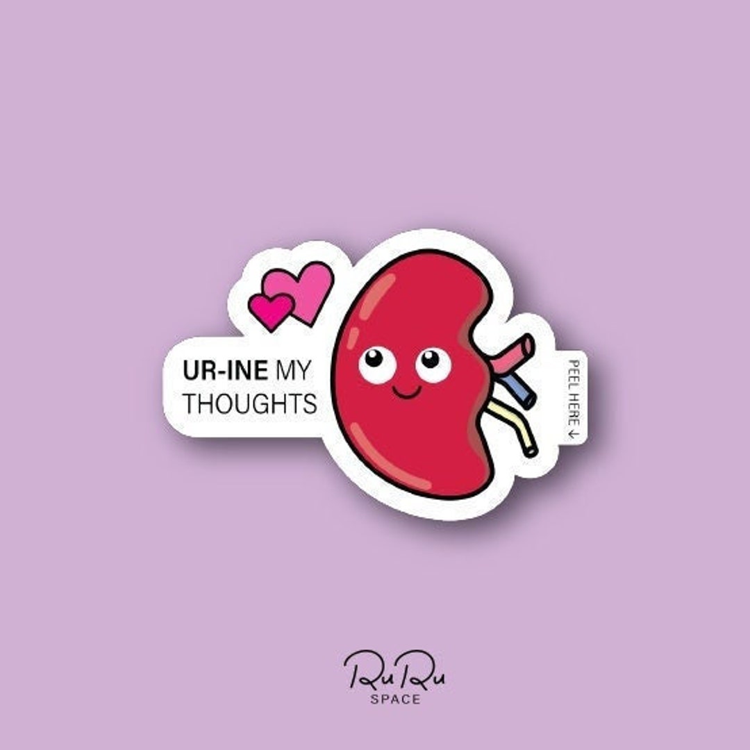 Cute Kidney Sticker/ Urine My Thoughts / Medical Sticker/ Waterproof ...