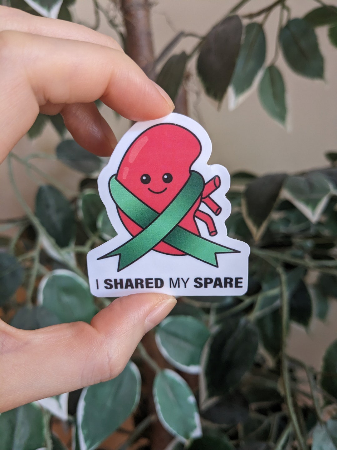 Cute Kidney Sticker/ I Shared My Spare/ Kidney Donor / Medical - Etsy
