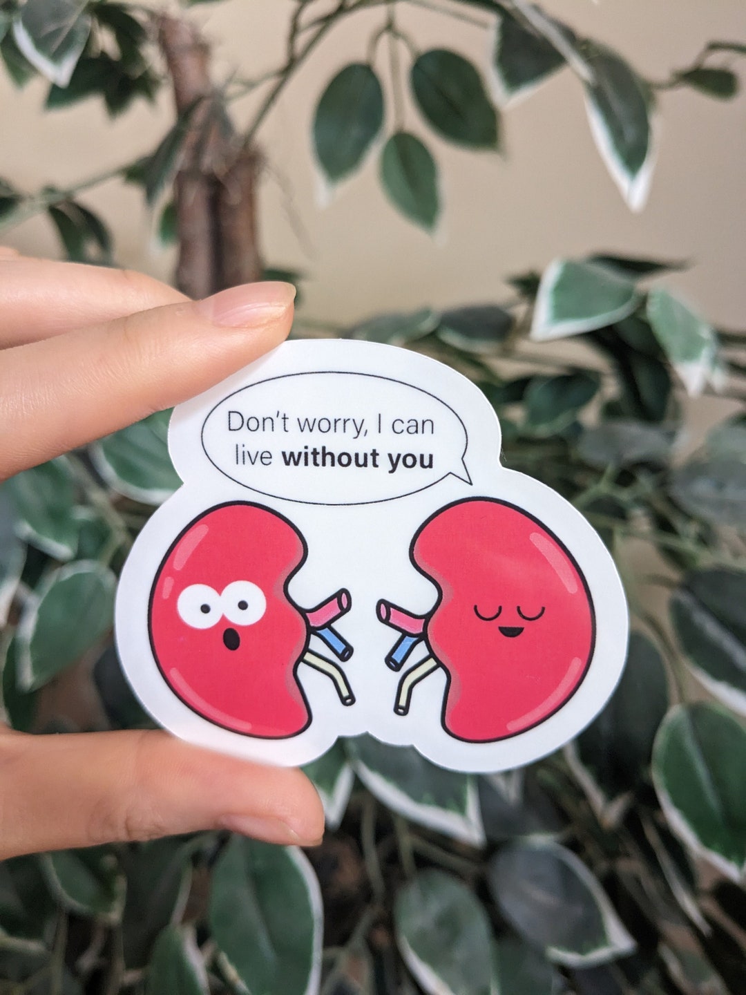Funny Kidney Sticker/ Don't Worry I Can Live Without You / - Etsy