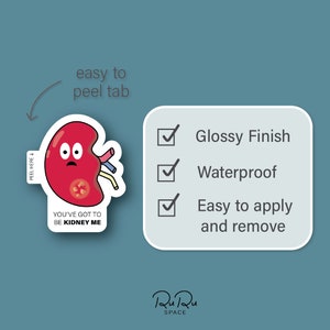 Cute Kidney Sticker/ You've Got to Be Kidney Me/ Kidney Stone/ Medical ...