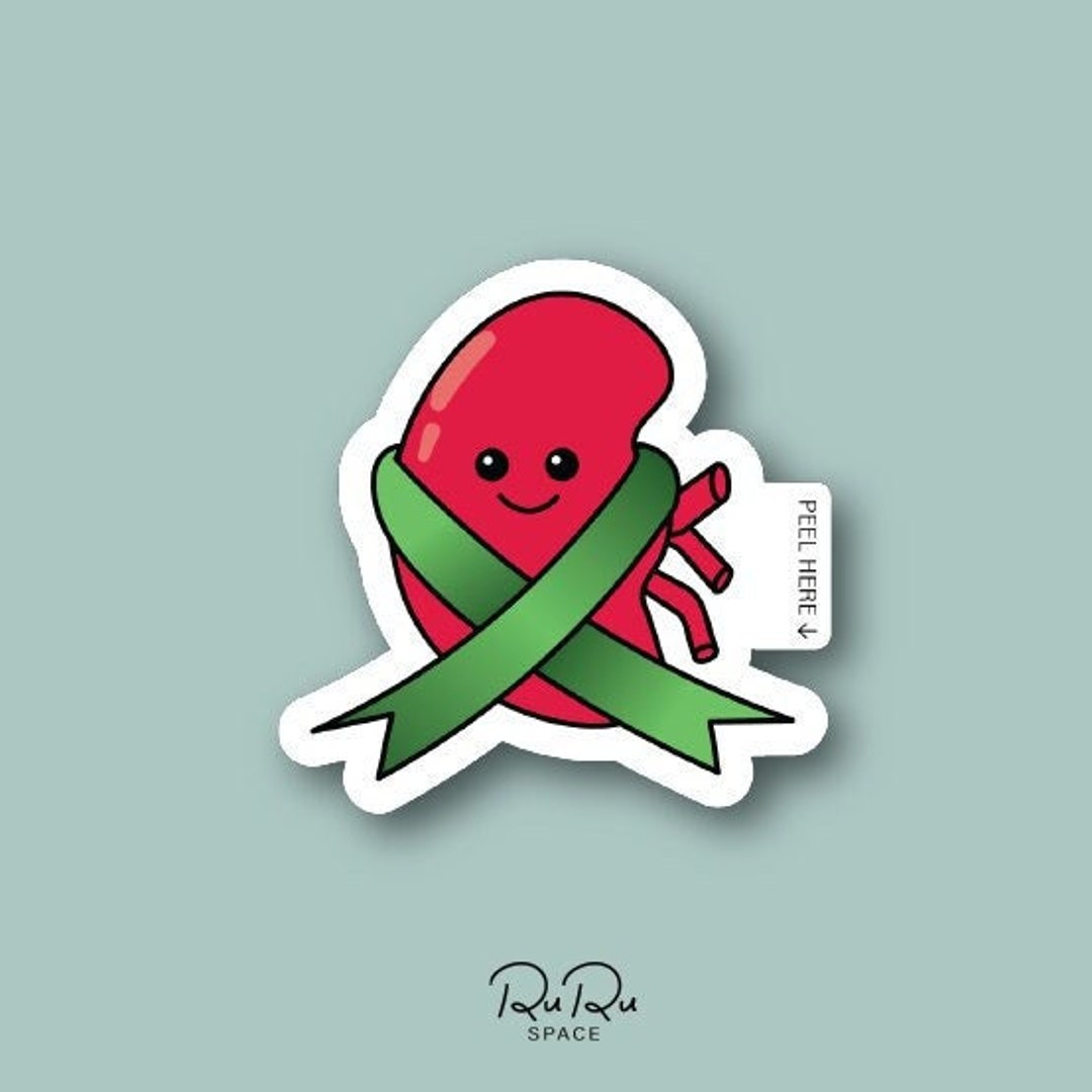 Cute Kidney Sticker/ Kidney Awareness /kidney Disease/ Medical Sticker ...