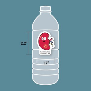 Cute Kidney Sticker/ You've Got to Be Kidney Me/ Kidney Stone/ Medical ...