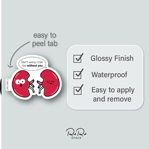 Funny Kidney Sticker/ Don't Worry I Can Live Without You / Medical ...