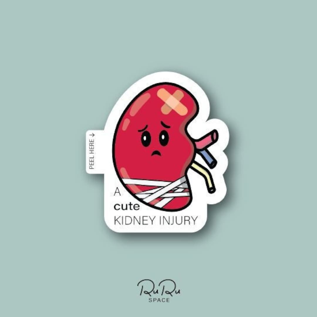 Cute Kidney Sticker/ A Cute Kidney Injury/ AKI/ Medical Sticker ...