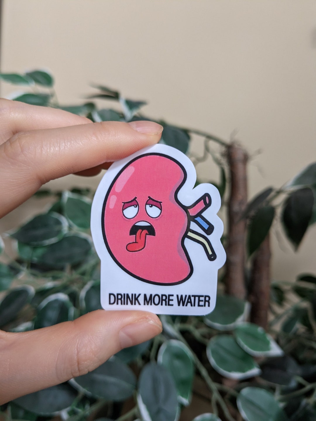 Cute Kidney Sticker/ Drink More Water/ Medical Sticker/ 1.8 X 2.2 ...