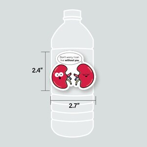 Funny Kidney Sticker/ Don't Worry I Can Live Without You / Medical ...