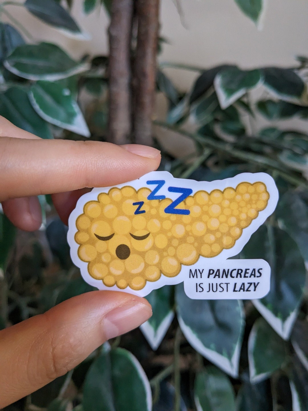 Cute Pancreas Sticker / My Pancreas is Just Lazy / Medical - Etsy