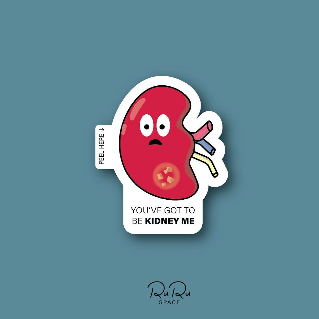 Cute Kidney Sticker/ You've Got to Be Kidney Me/ Kidney Stone/ Medical ...