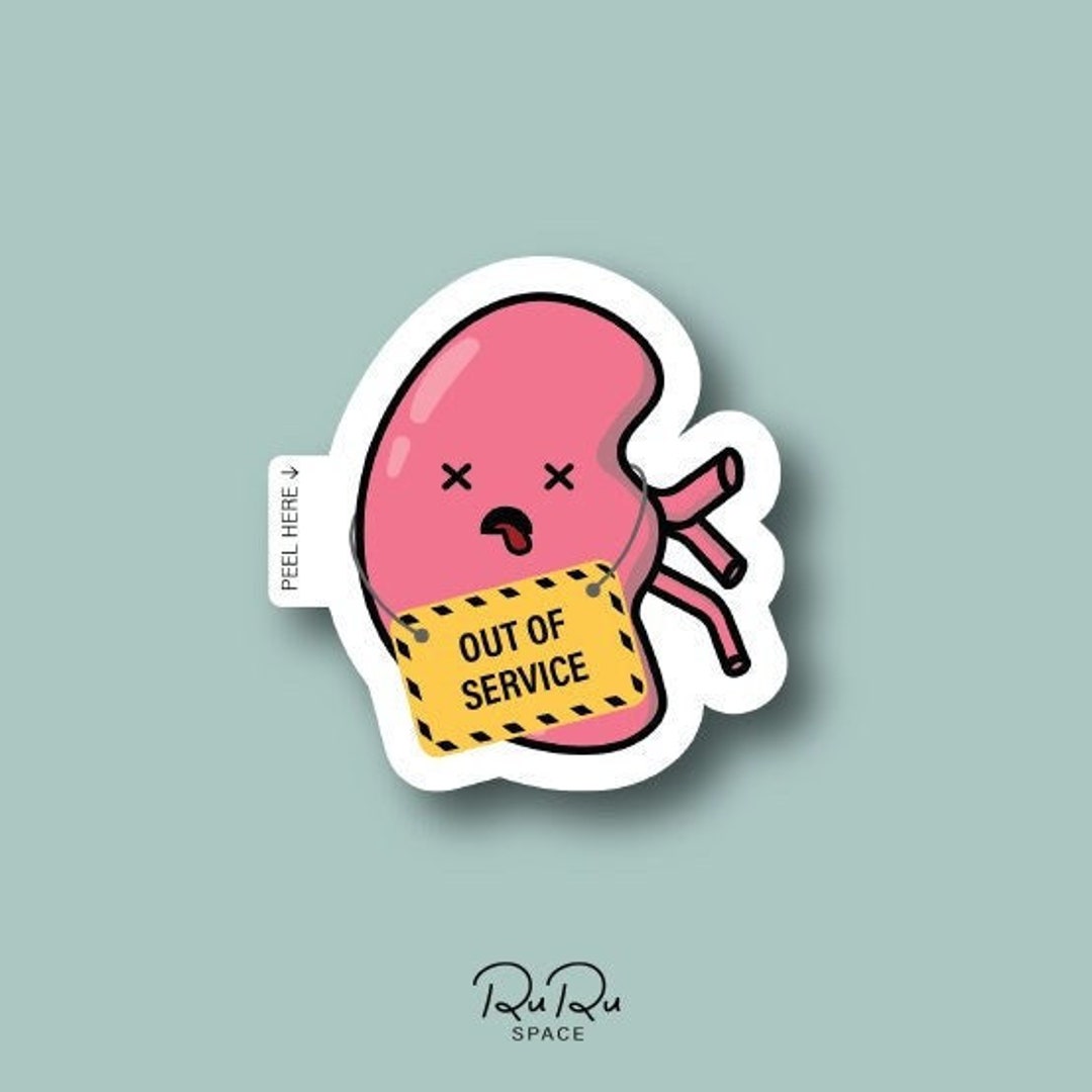 Cute Kidney Sticker/ Out of Service / Medical Sticker/ Waterproof ...