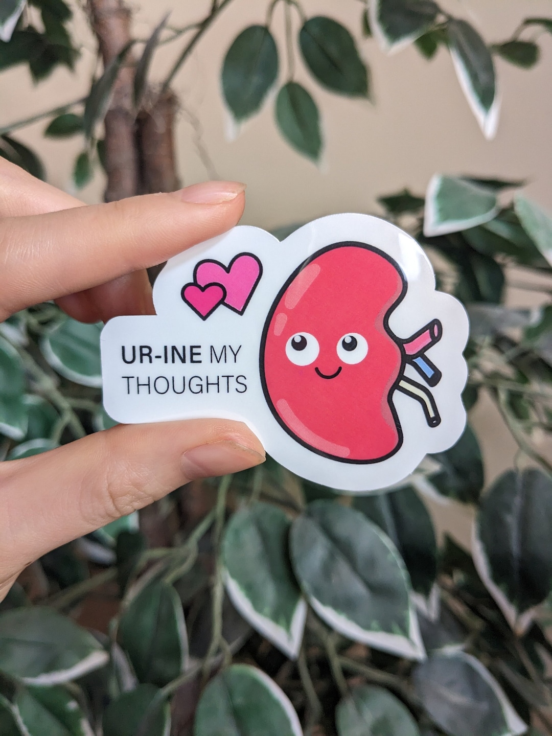 Cute Kidney Sticker/ Urine My Thoughts / Medical Sticker/ 2.8 - Etsy
