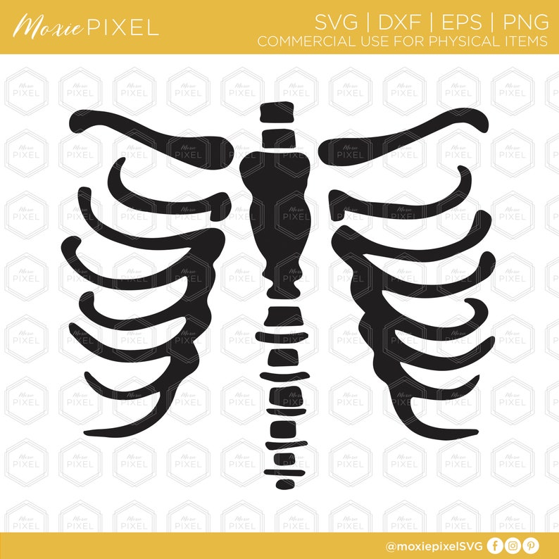 Rib Cage SVG - Halloween Clip Art - Skeleton Graphic - Halloween Cut ...