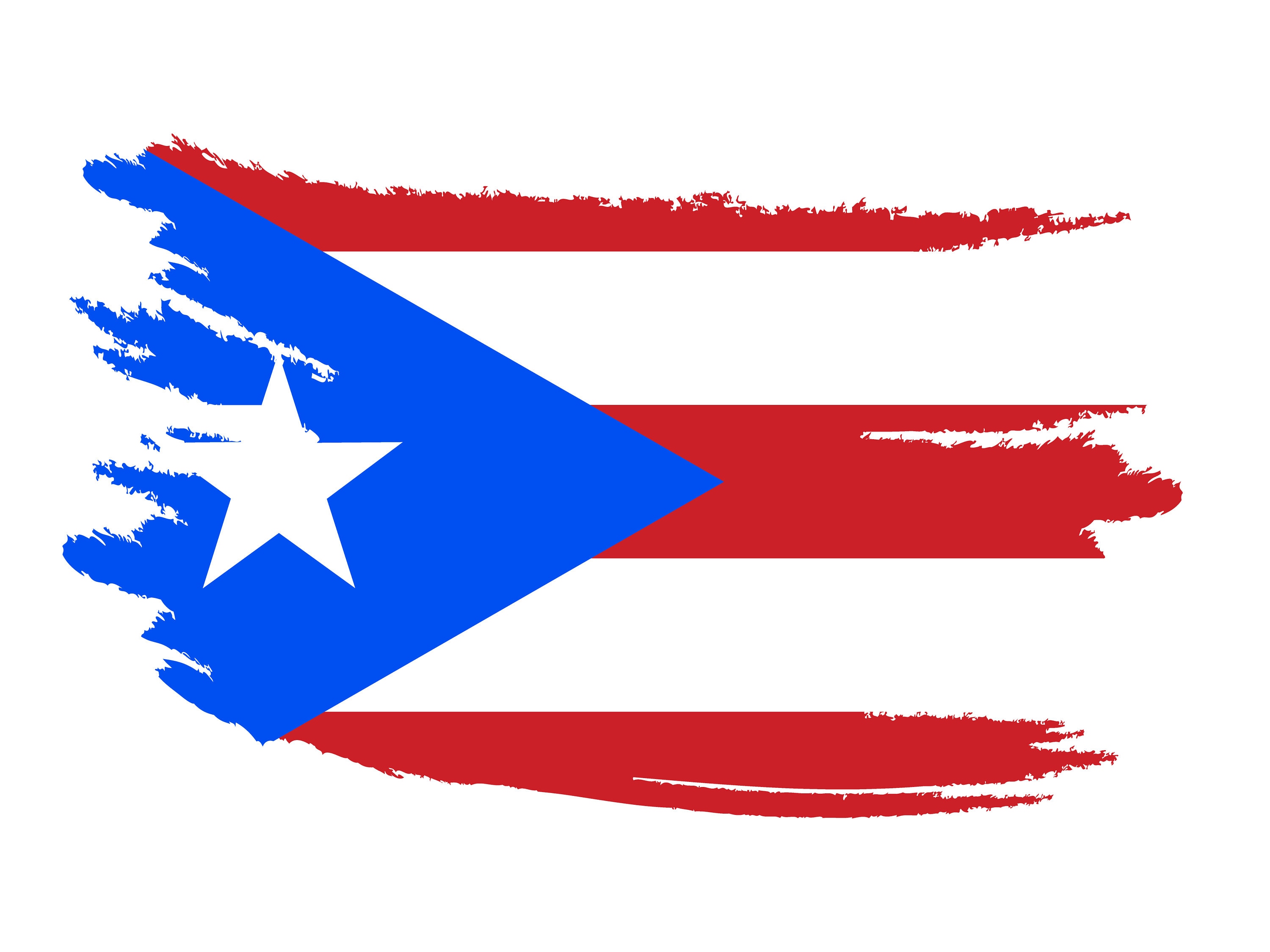 Bandera de Puerto Rico svg camisa de la bandera | Etsy