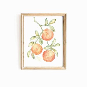 Colorful Fruit Watercolor Digital Print Set of 4 Pomegranate Orange ...