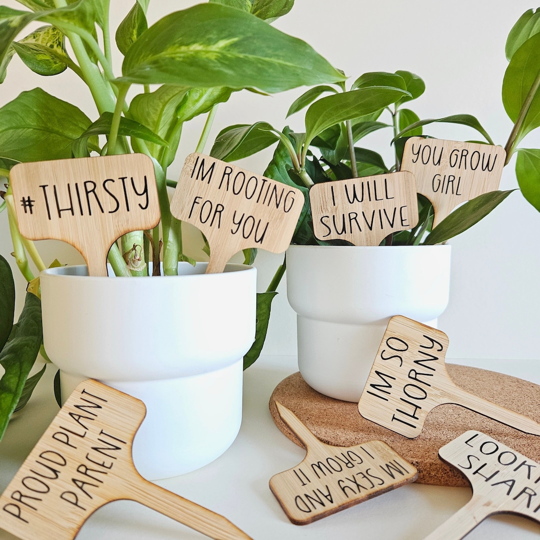 Funny Plant Markers | Gift for Plant Lovers, Funny Plant Signs, Tags ...