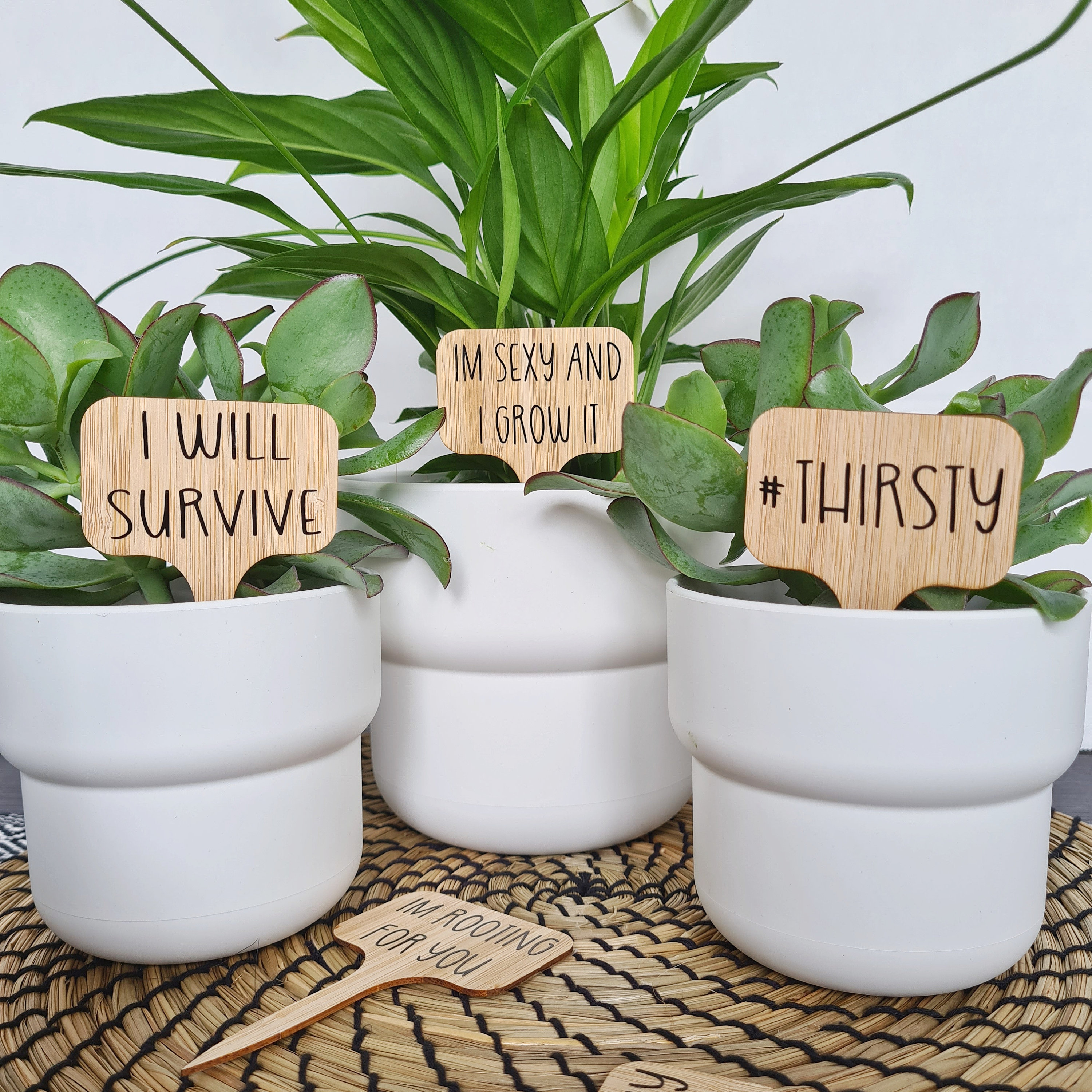 Funny Plant Markers Gift for Plant Lovers Plant Signs - Etsy UK