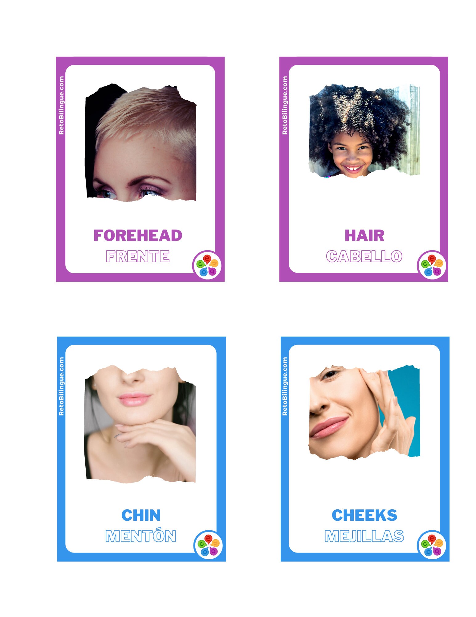 PARTES DEL CUERPO Flashcards Montessori Bilingües Inglés // - Etsy México