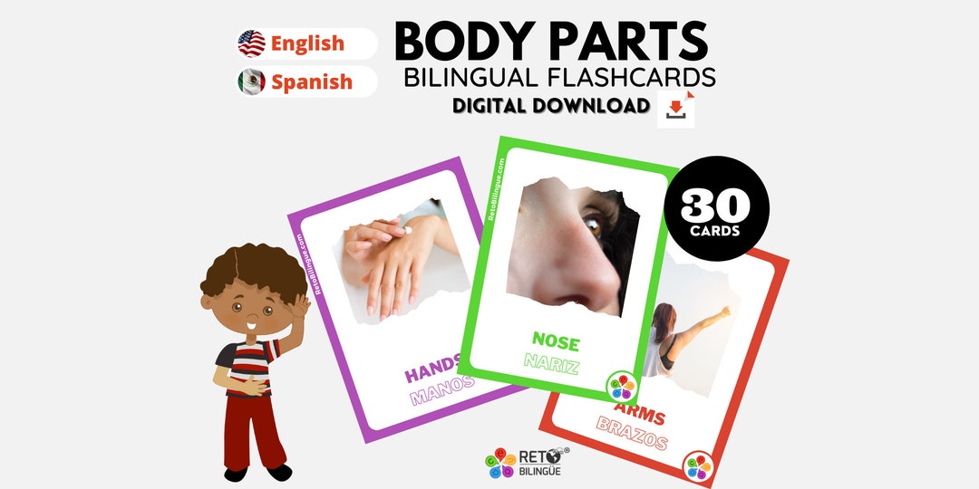PARTES DEL CUERPO Flashcards Montessori Bilingües Inglés // - Etsy México
