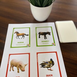 ANIMALS Bilingual Montessori Flashcards English // Spanish - Etsy