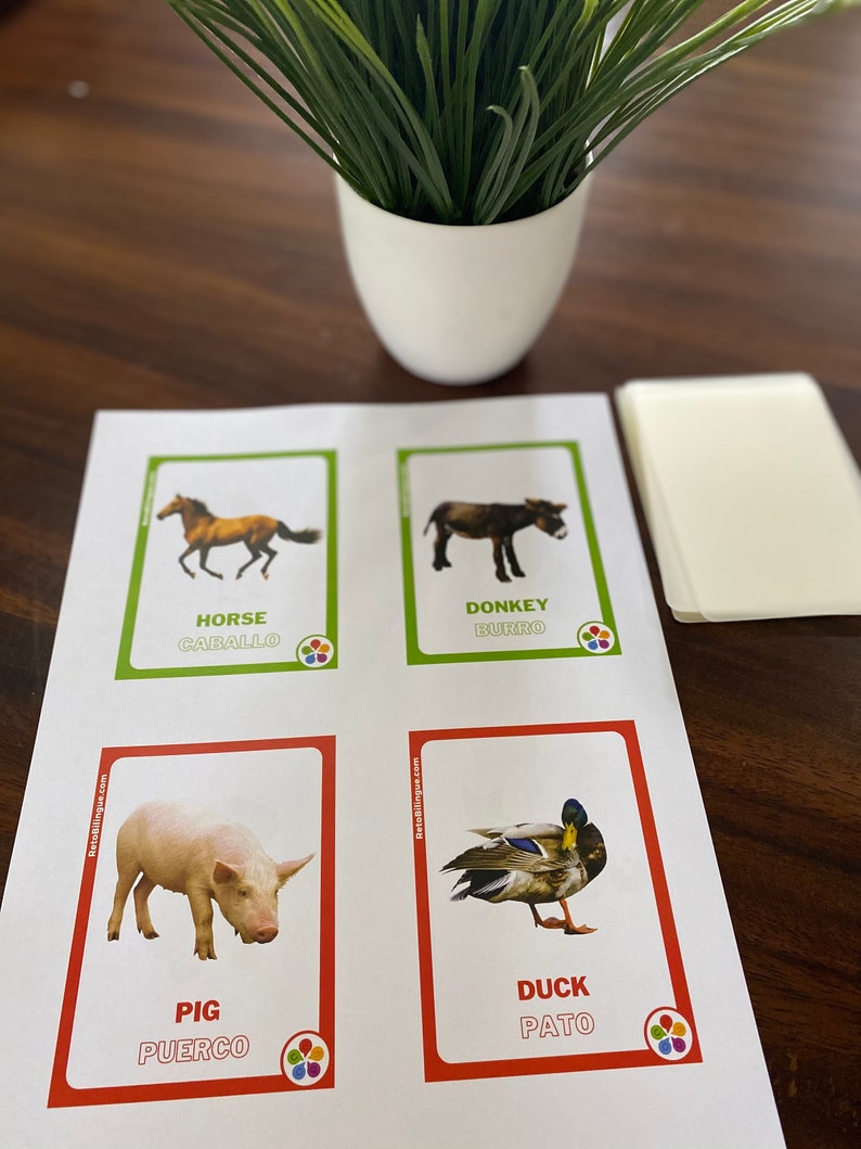 ANIMALS Bilingual Montessori Flashcards English // Spanish - Etsy