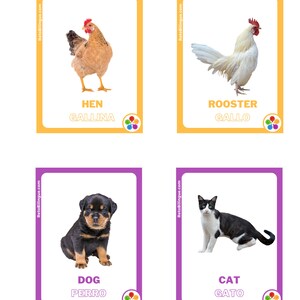 ANIMALS Bilingual Montessori Flashcards English // Spanish - Etsy