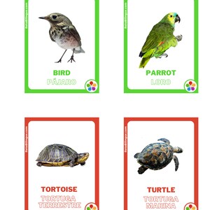 ANIMALS Bilingual Montessori Flashcards English // Spanish - Etsy
