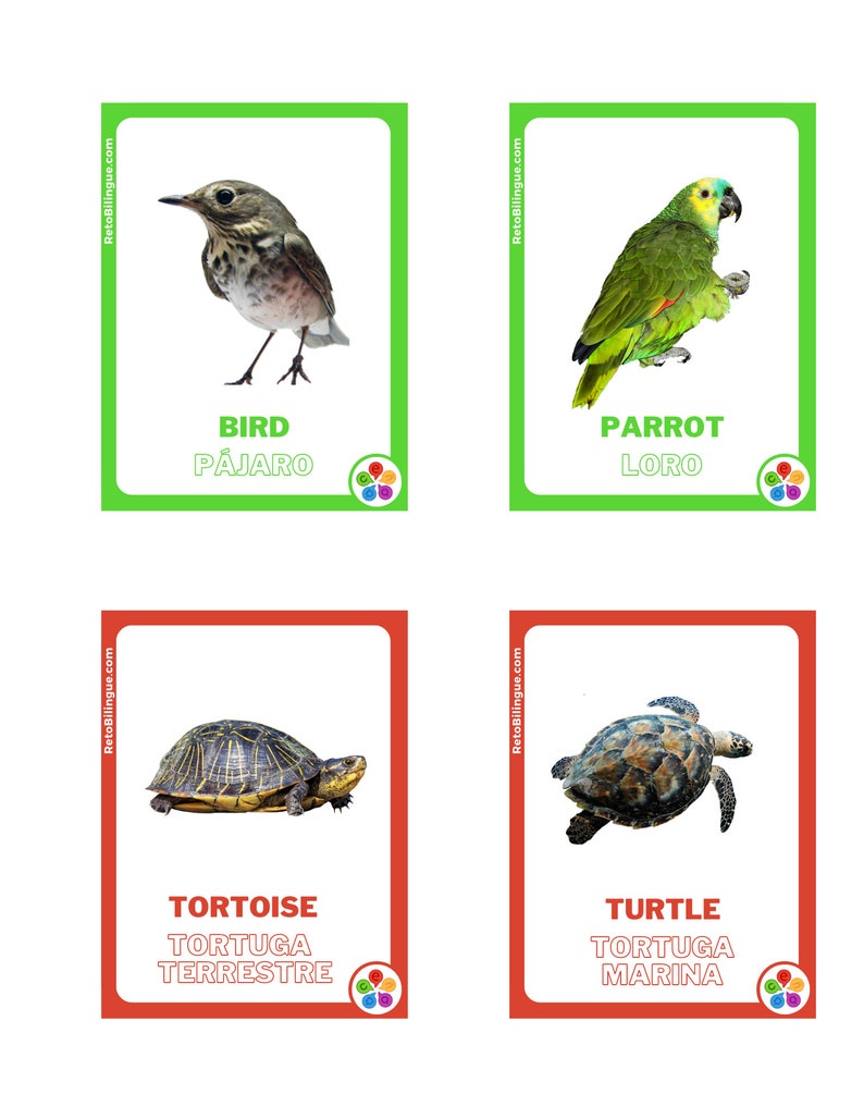 ANIMALS Bilingual Montessori Flashcards English // Spanish - Etsy