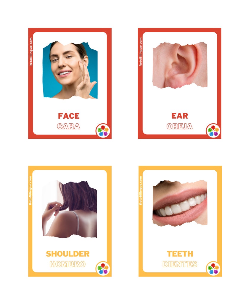 PARTES DEL CUERPO Flashcards Montessori Bilingües Inglés // - Etsy México