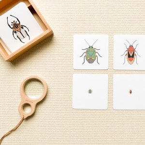 Sorting Bugs Size Activity Preschool Printables Busy - Etsy Canada