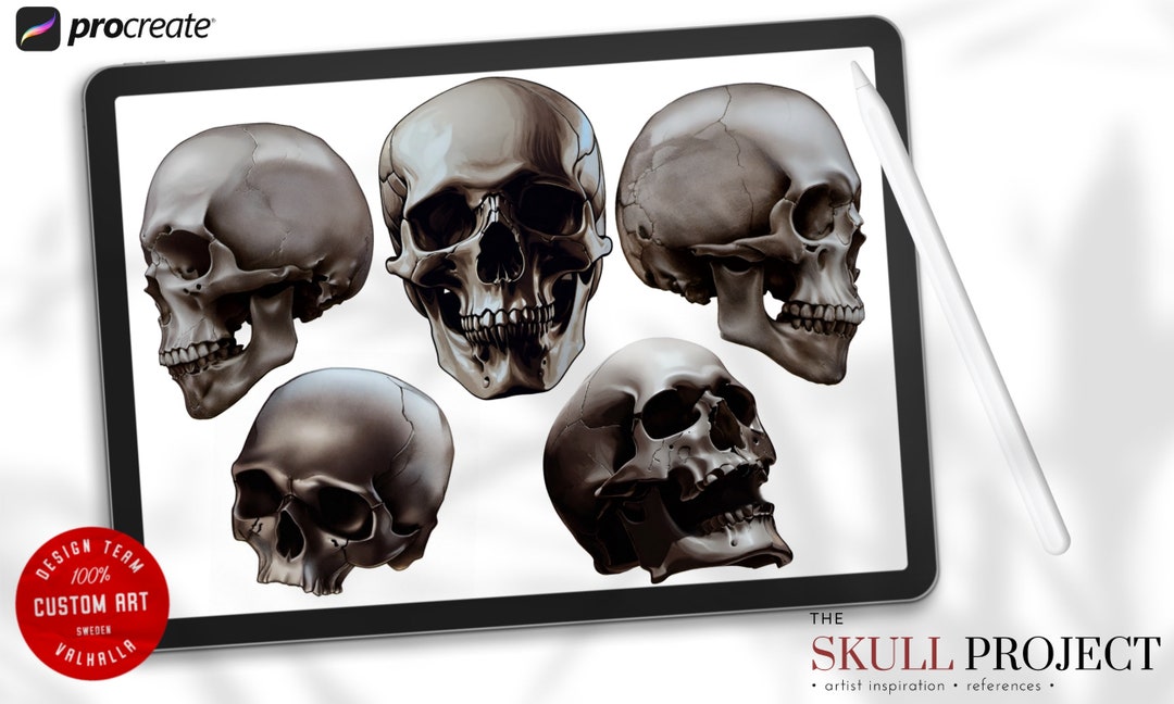 The Skull Project, 200+ Custom Made Designs for Procreate - Etsy