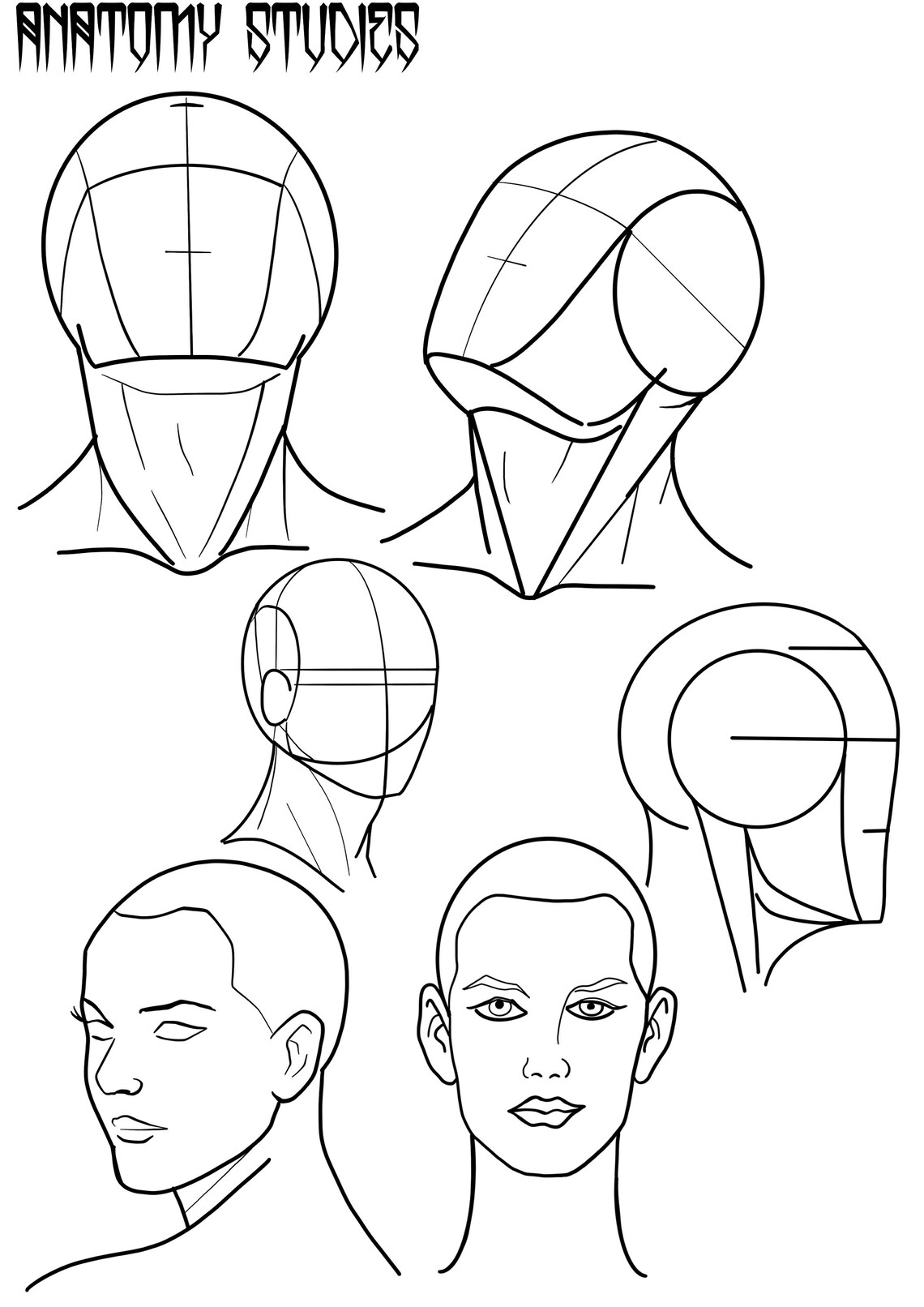 Pdf E-book 2-300 Anatomy References Body Reference Book - Etsy