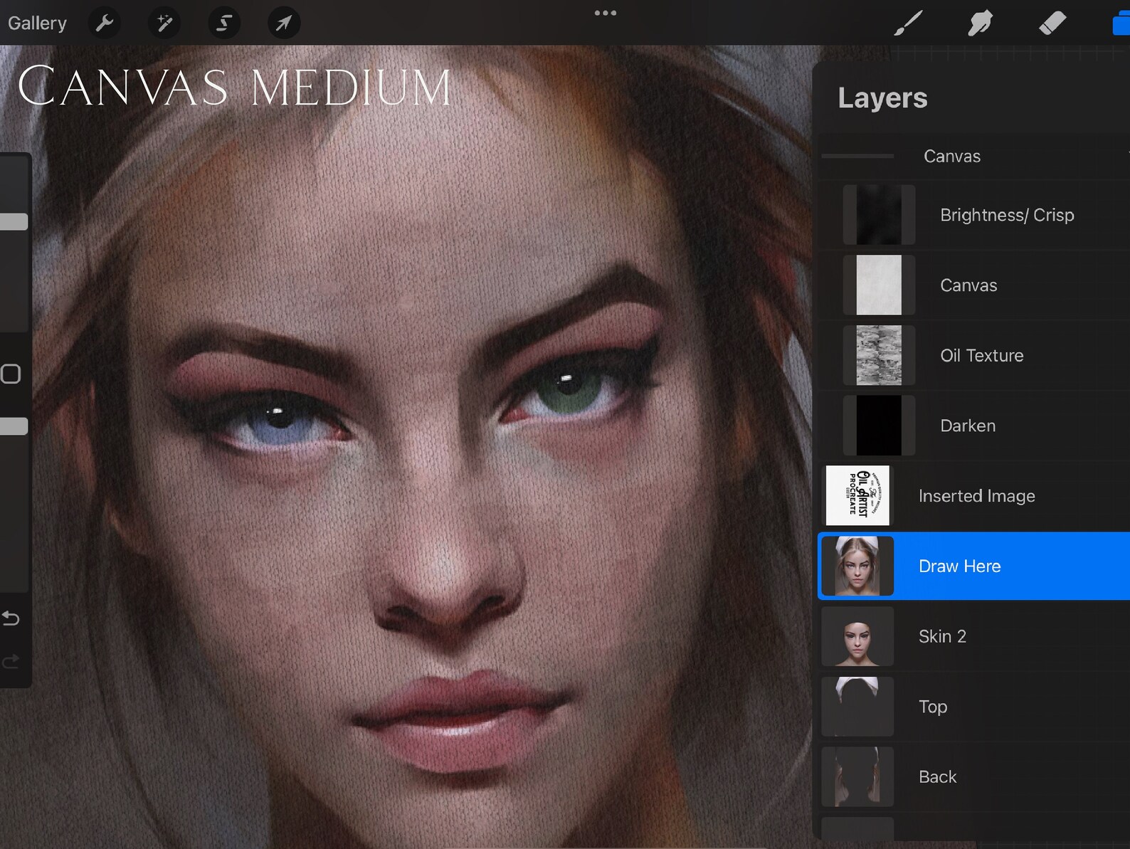 Procreate/ Artists Oil Fine Art Oil Bundle - Etsy Sweden